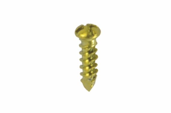 TMJ Titanium Emergency Cross Drive® Screw 1.7mm | Orthomax CMF Implant ...